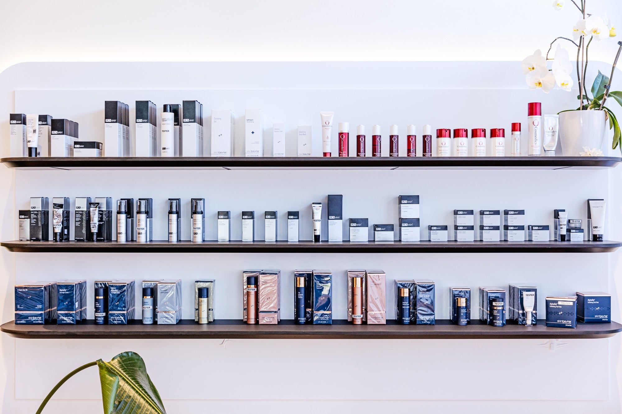 Kate Allen Aesthetics Online Store